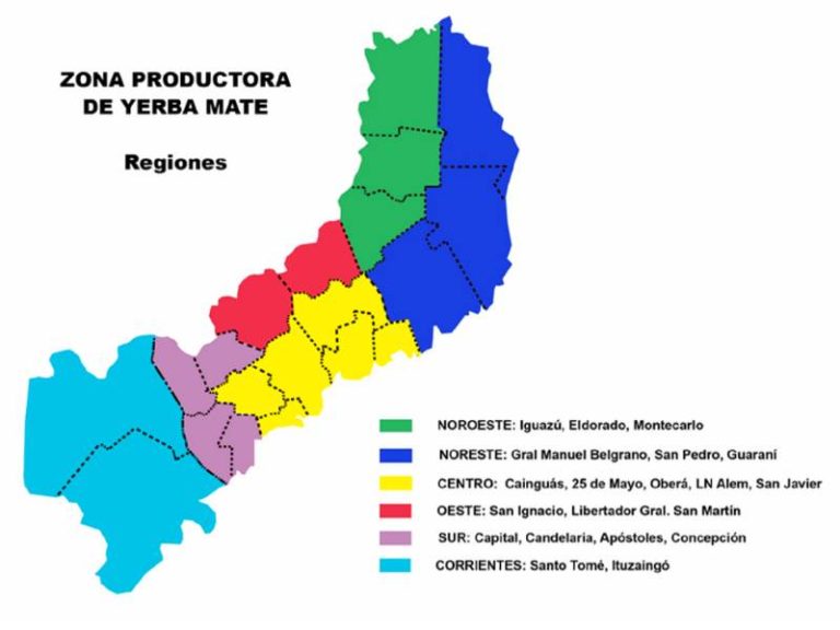 ¿Dónde se produce yerba mate en Argentina? Marca por marca - Deyerbamate