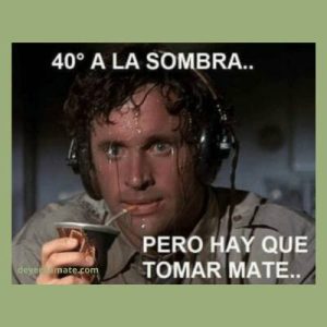 14 Memes de mates para compartir 😂 🧉 - Deyerbamate