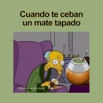 14 Memes de mates para compartir 😂 🧉 - Deyerbamate