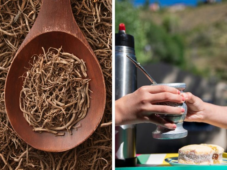 Yuyos para el mate: 12 opciones para tus mates - Deyerbamate